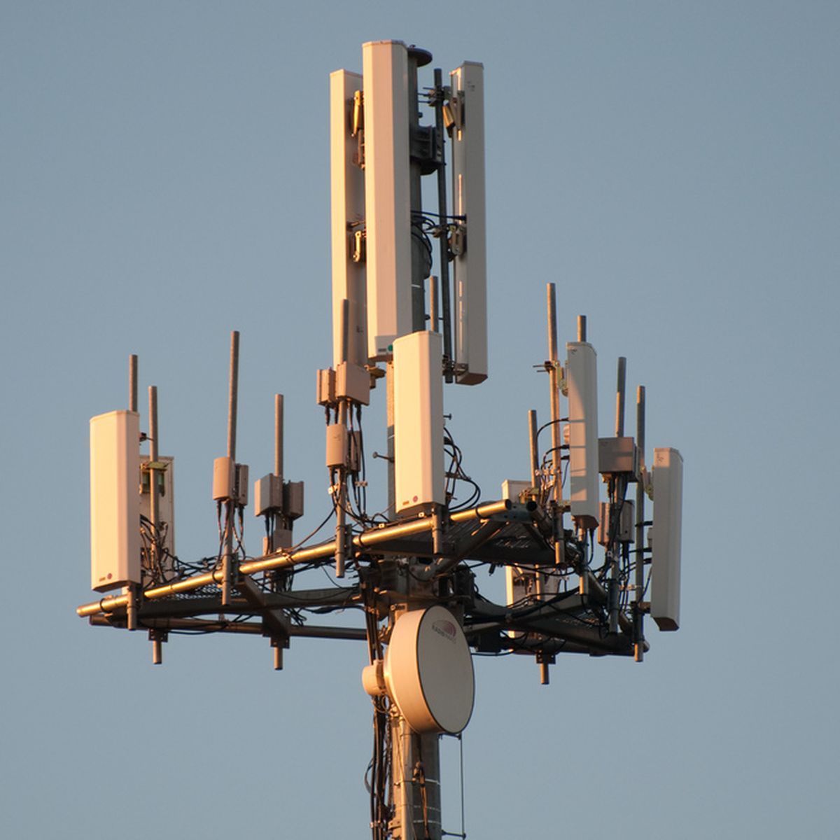 Dan Seifert Profile and Activity - Page 69 - The Verge