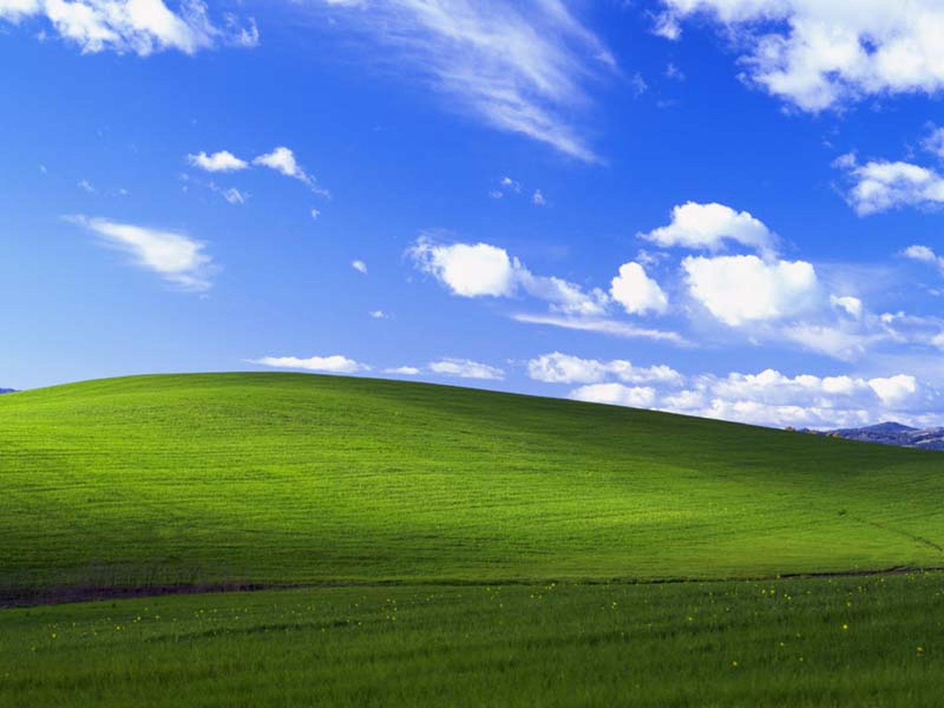 Windows XP source code leaks online - The Verge