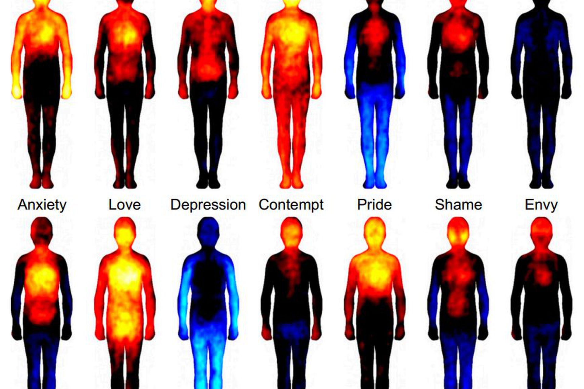 Neuroscientist Lisa Feldman Barrett explains how emotions are made ...